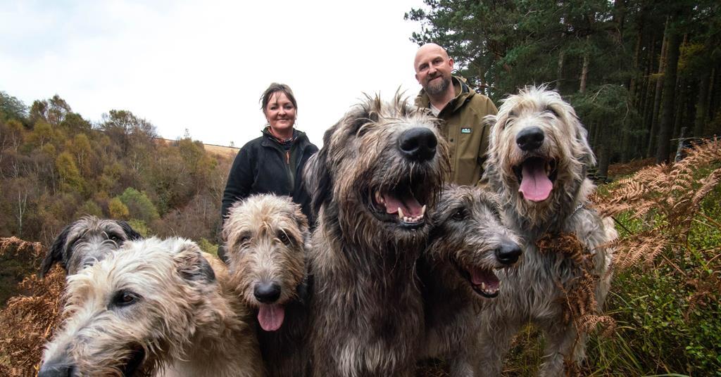 Big Dog Britain | Critics | Broadcast