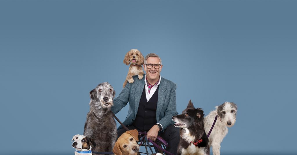 Avalon revamps Dogs Behaving (Very) Badly with new segments for 100th ...