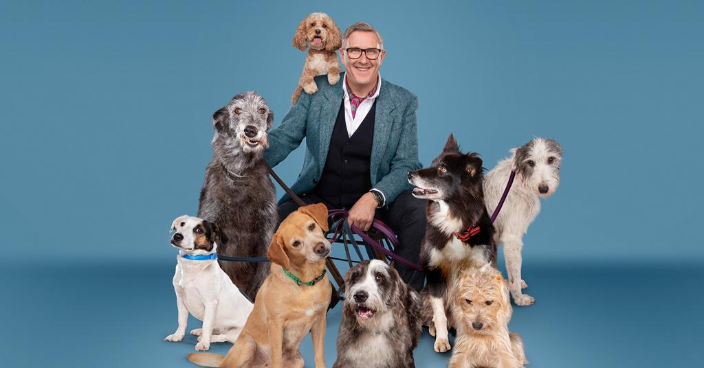 Avalon revamps Dogs Behaving (Very) Badly with new segments for 100th ...