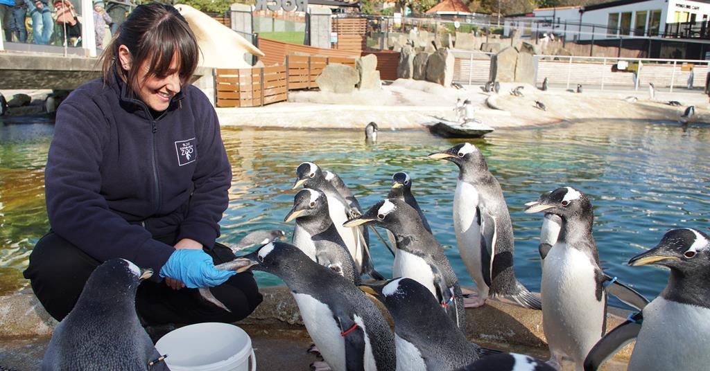 Edinburgh Zoo opens its gates to BBC Scotland | News | Broadcast