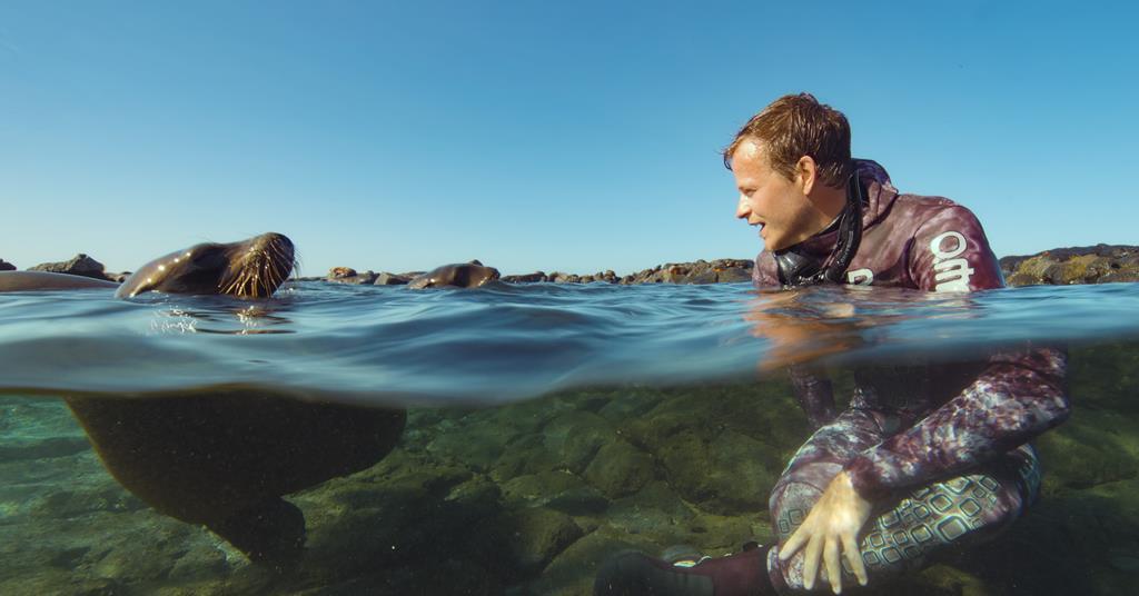 Wildstar Films | Features | Broadcast