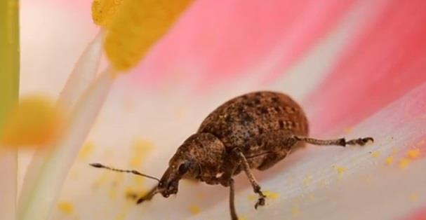 Jack Bootle joins BBC iPlayer chorus | News | Broadcast