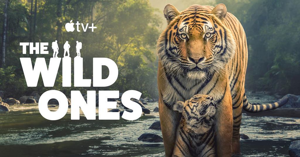 Why I came out from behind the camera to join the wildlife on screen ...