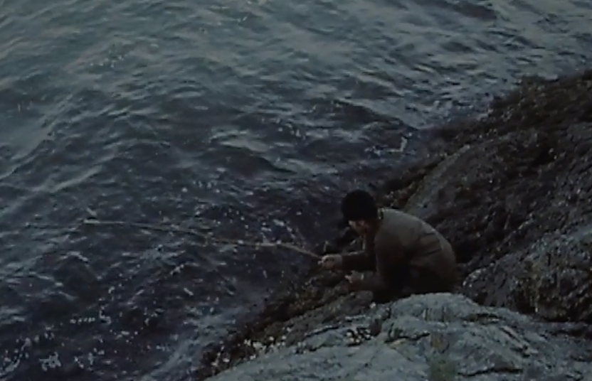 Jim Allen: The Adventures of Robinson Hogg | Features | Broadcast