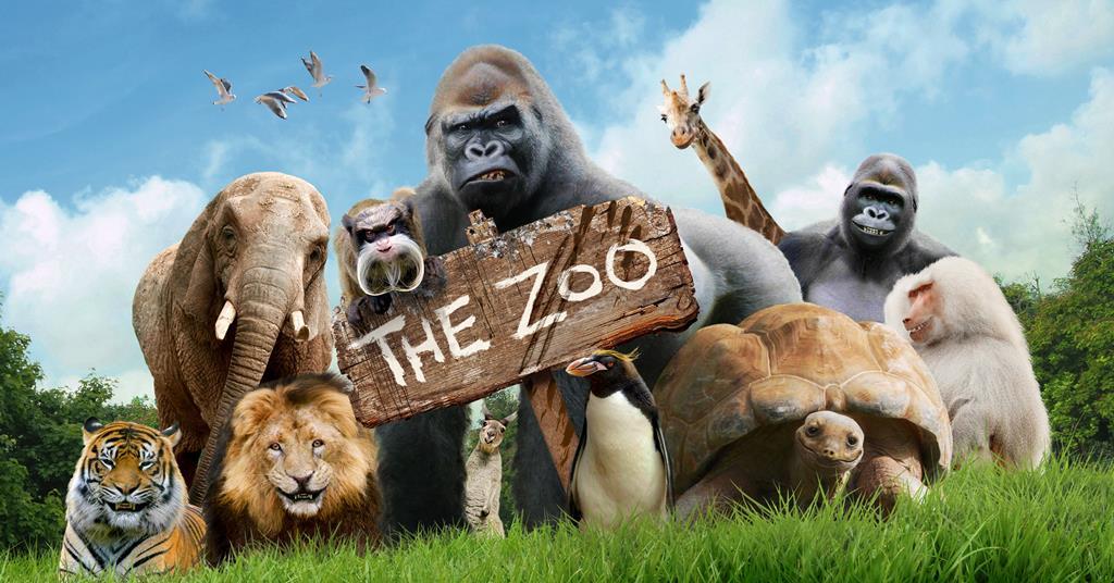 The Zoo, CBBC | Features | Broadcast