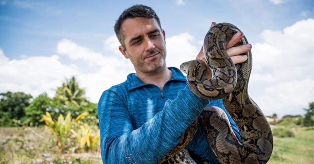 Discovery orders man-eating python doc | News | Broadcast