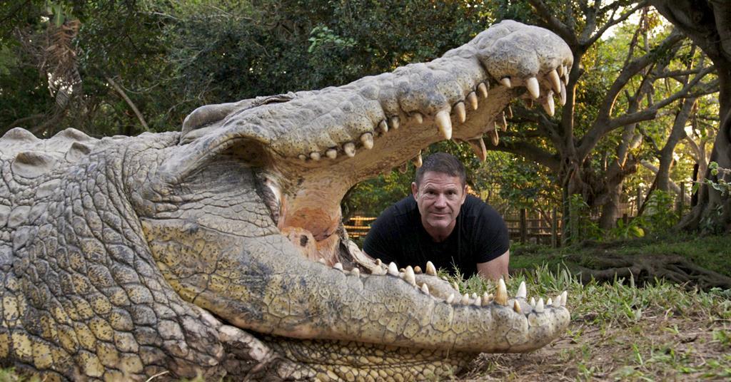 Trail: Killer Crocs with Steve Backshall, Channel 5 | Video | Broadcast