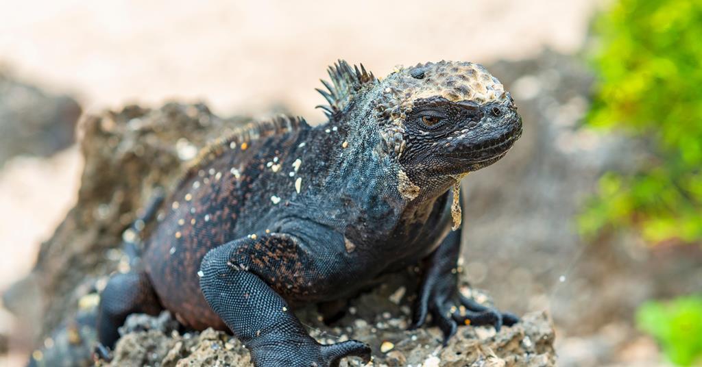 End Credits: Emily Feller | Features | Broadcast