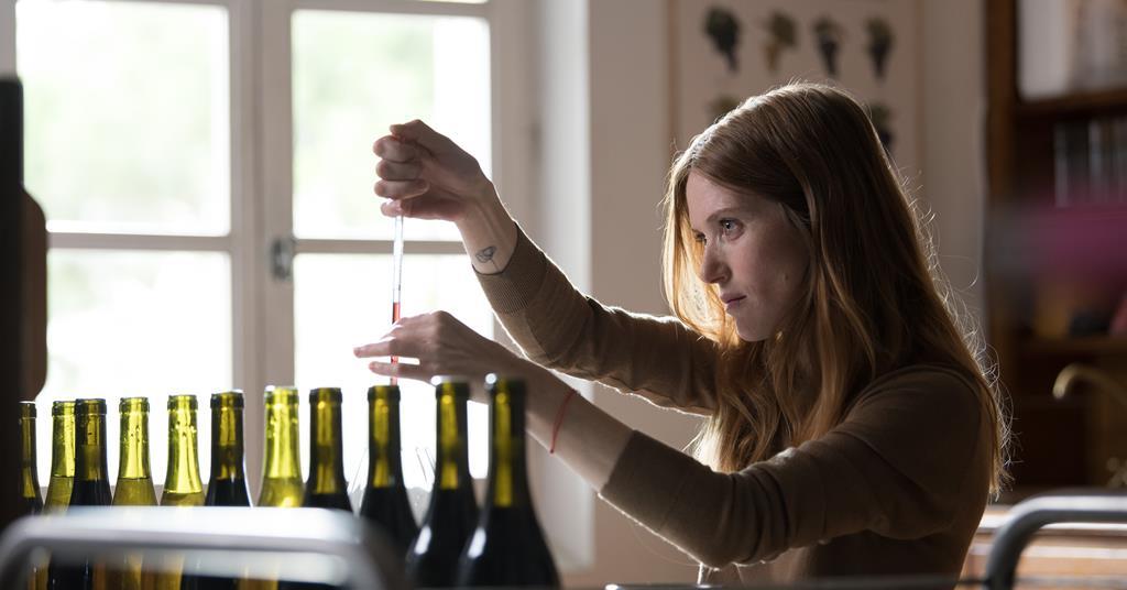 All3Media and Banijay UK labels triumph at International Emmys | News ...