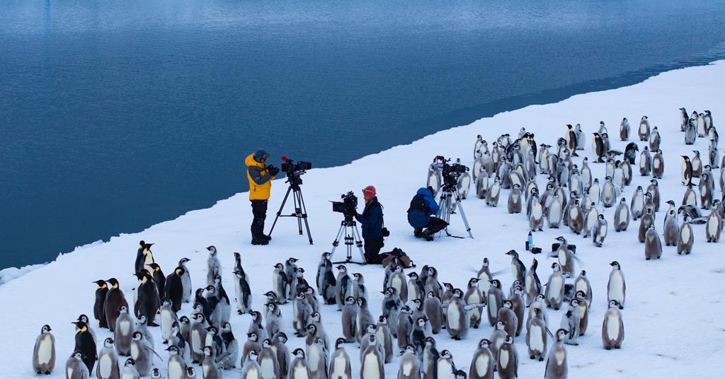 Secrets of the Penguins, Nat Geo / Disney+ | Behind The Scenes | Broadcast