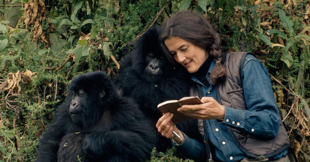 Nat Geo doc film-makers praise Netflix’s influence | News | Broadcast