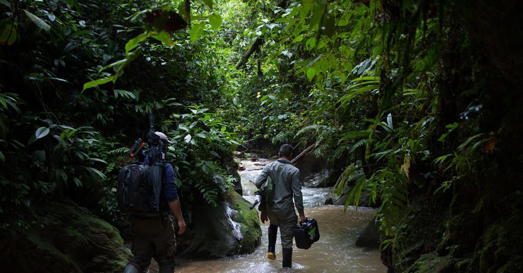 Hostile Planet, National Geographic | Behind The Scenes | Broadcast