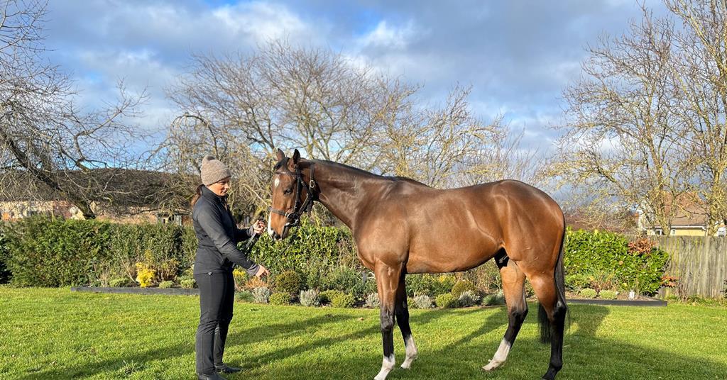Racing TV members to be part of racehorse syndicate | News | Broadcast