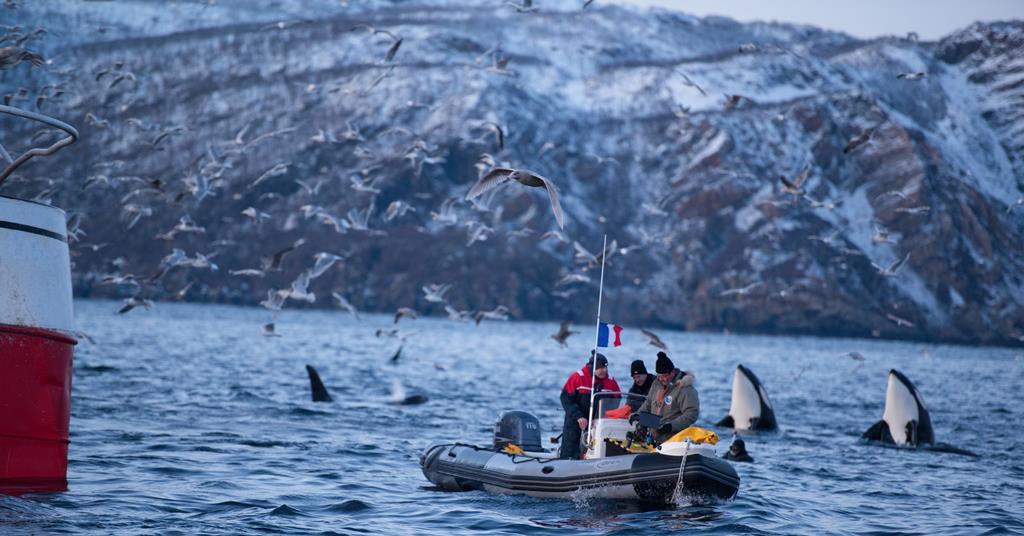 Hostile Planet, National Geographic | Behind The Scenes | Broadcast