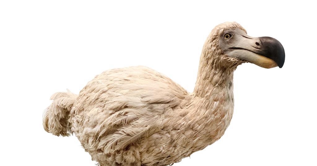 End Credits: Sharon Levy | Features | Broadcast