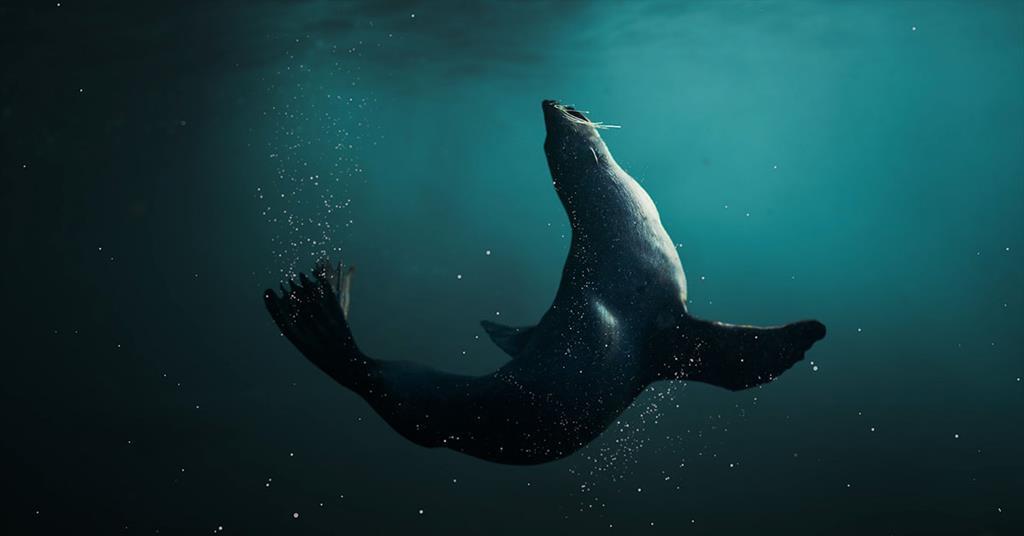 Behind the Scenes: Gladiators, Sky Nature | Behind The Scenes | Broadcast