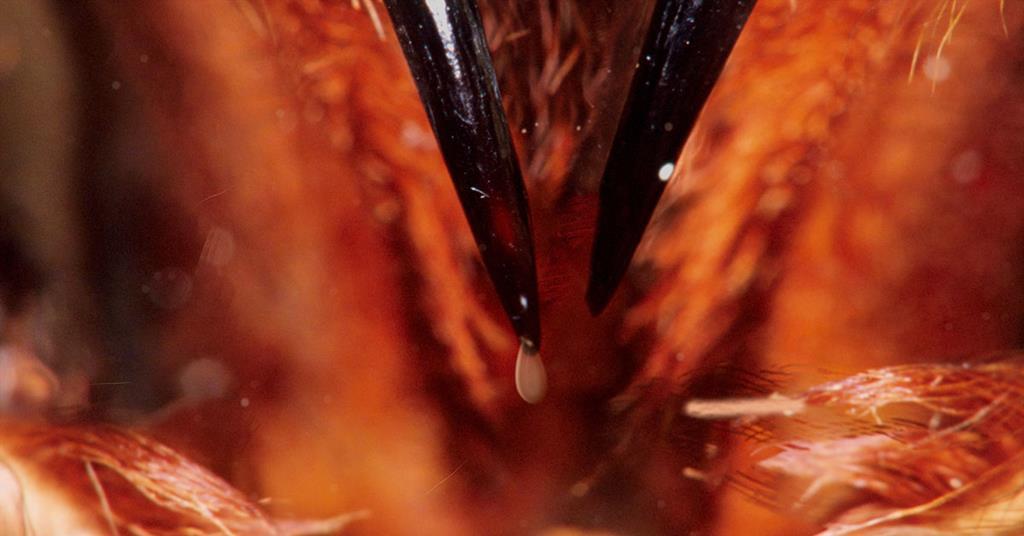 Behind the Scenes: Gladiators, Sky Nature | Behind The Scenes | Broadcast