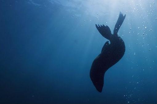 BBC Studios forges Apple screensavers | News | Broadcast