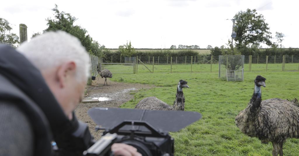 The Real T-Rex With Chris Packham, BBC2 | Behind The Scenes | Broadcast