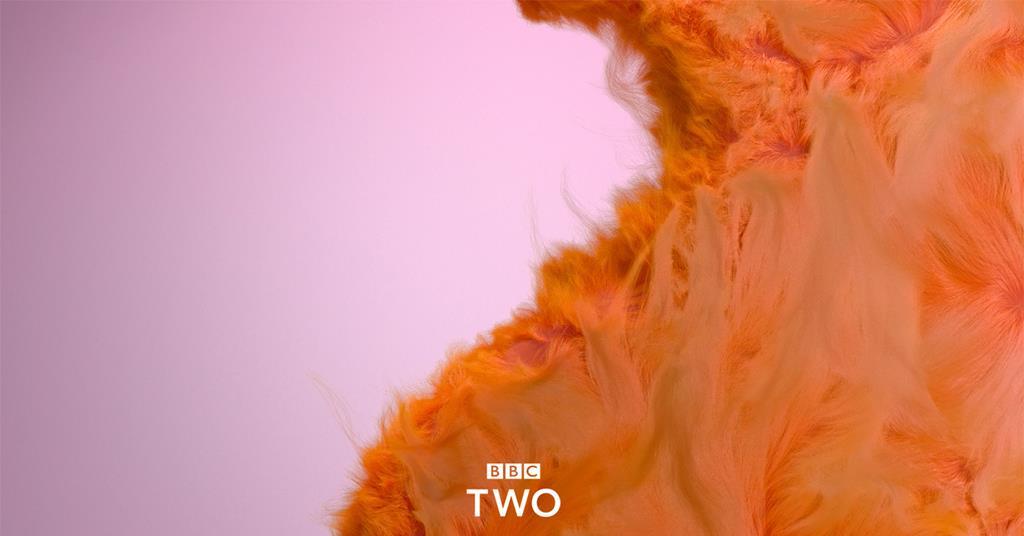 Gallery: New BBC2 idents | Features | Broadcast