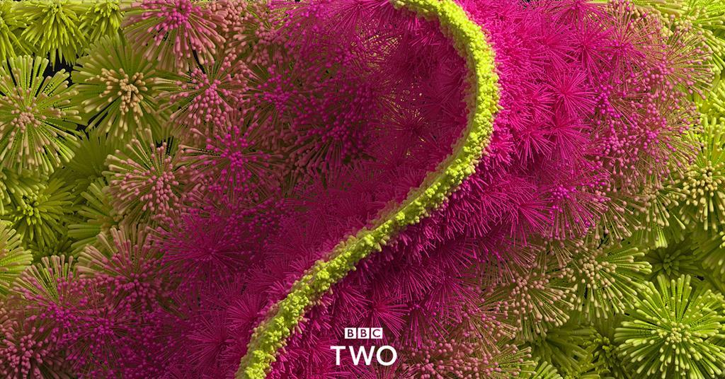 Gallery: New BBC2 idents | Features | Broadcast