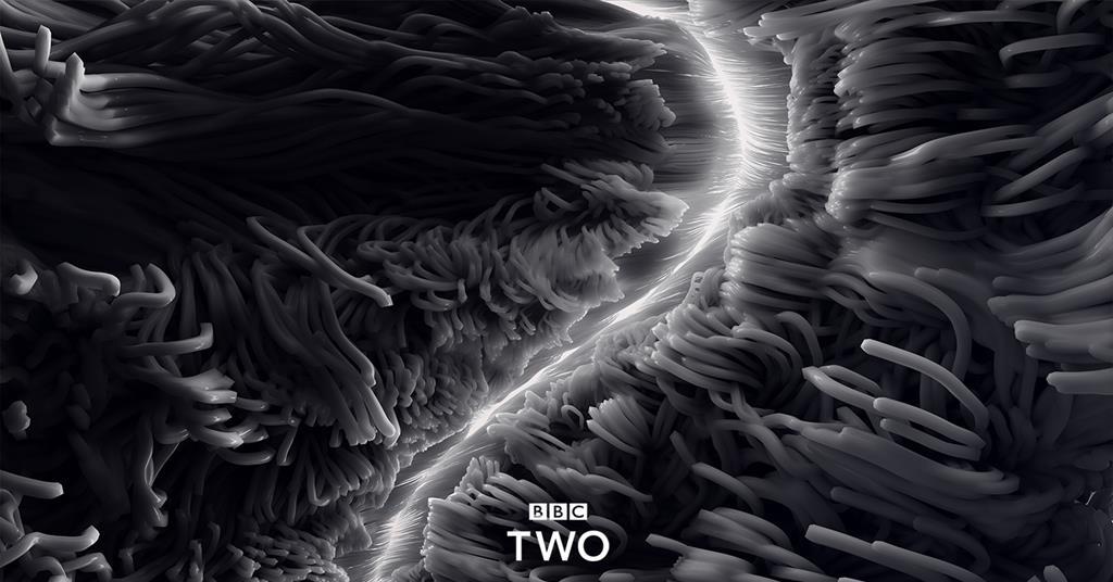 Gallery: New BBC2 idents | Features | Broadcast