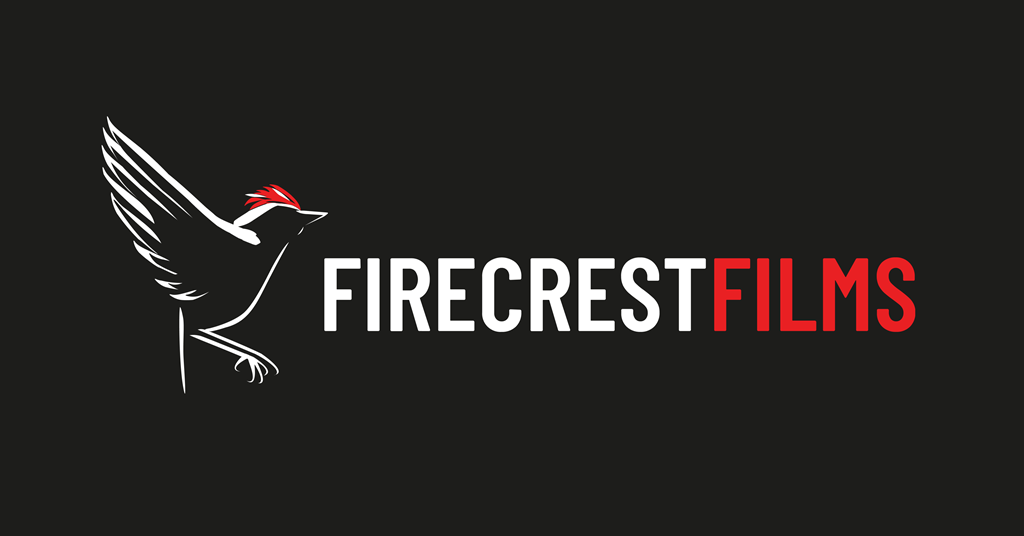 Multichannel Production Company of the Year: Firecrest Films | Features ...