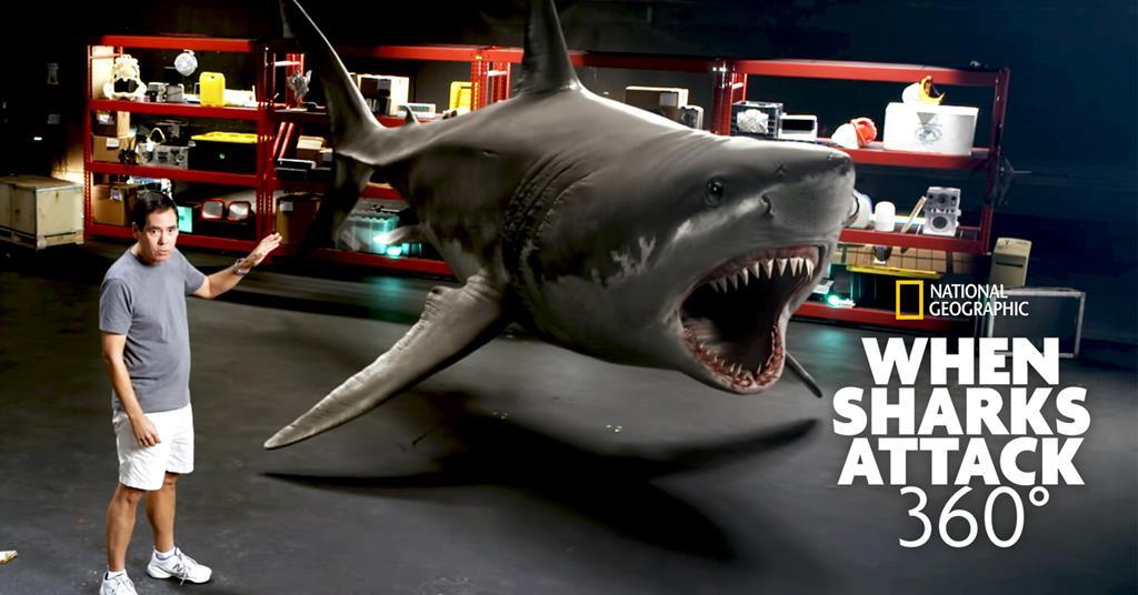 Trail: When Sharks Attack 360, Disney+ | Video | Broadcast