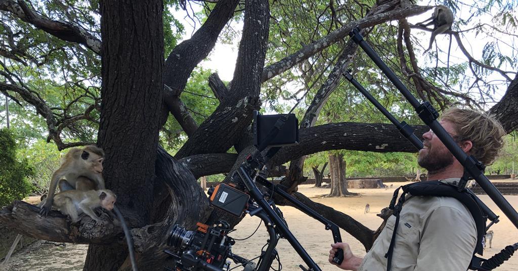 Wild Babies, Netflix | Behind The Scenes | Broadcast