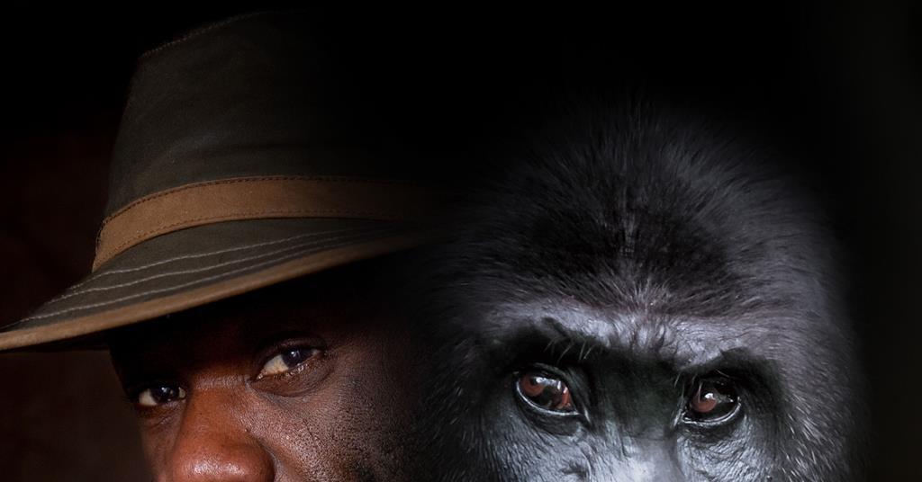 Silverback, BBC2 | Behind The Scenes | Broadcast