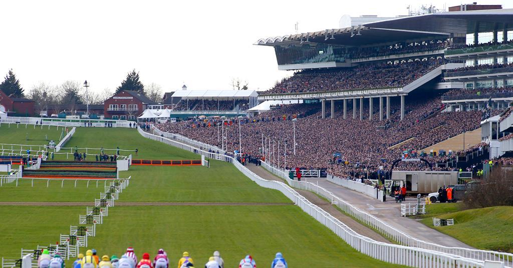 RMG & Ellipse to bring data to horse racing | News | Broadcast