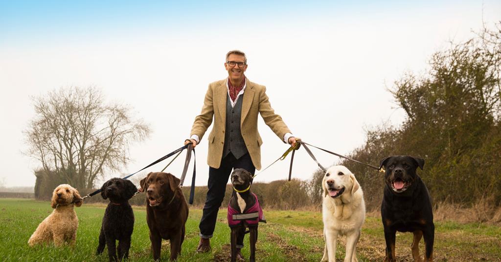 Avalon to command second C5 dog series | News | Broadcast