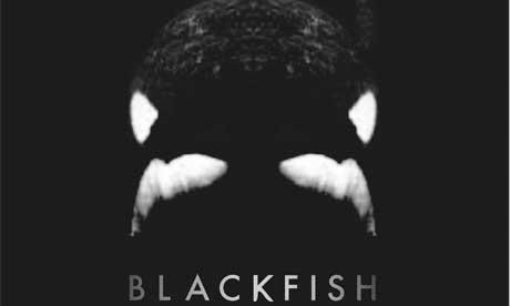 Whale doc Blackfish surfaces on Netflix | News | Broadcast