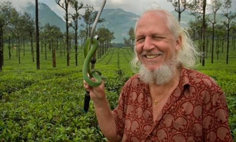 BBC2 and Animal Planet order Icon snake odyssey | News | Broadcast