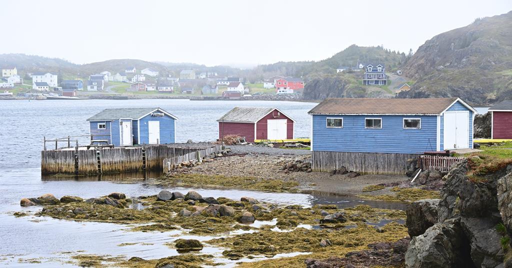 Netflix heads to Newfoundland with Umbrella Academy writer | News ...