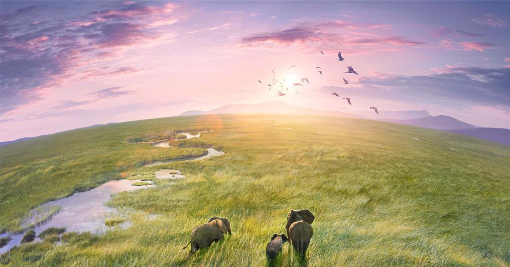 Trail: Planet Earth III, BBC1 | Video | Broadcast