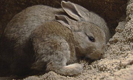 The Burrowers, BBC2 | Behind The Scenes | Broadcast