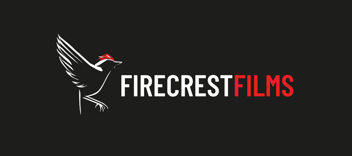 Multichannel Production Company of the Year: Firecrest Films | Features | Broadcast
