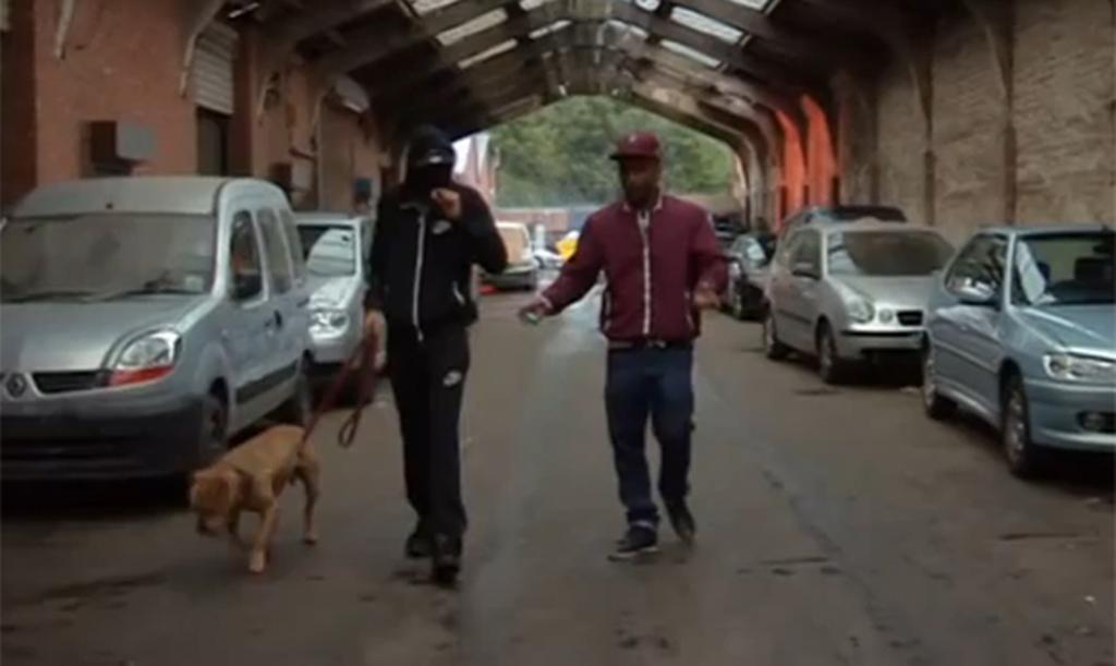 C4 dog fighting doc draws 2,200 complaints | News | Broadcast