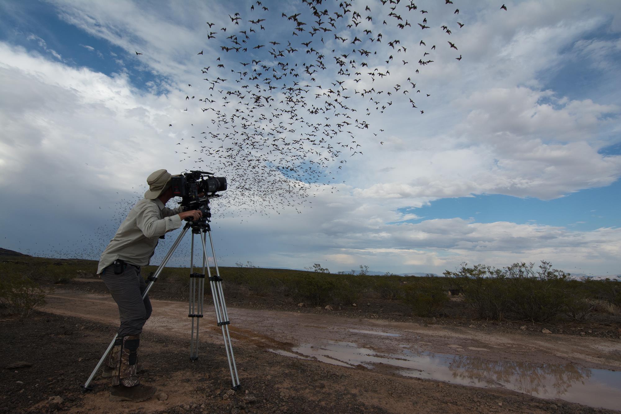 Hostile Planet, National Geographic | Behind The Scenes | Broadcast