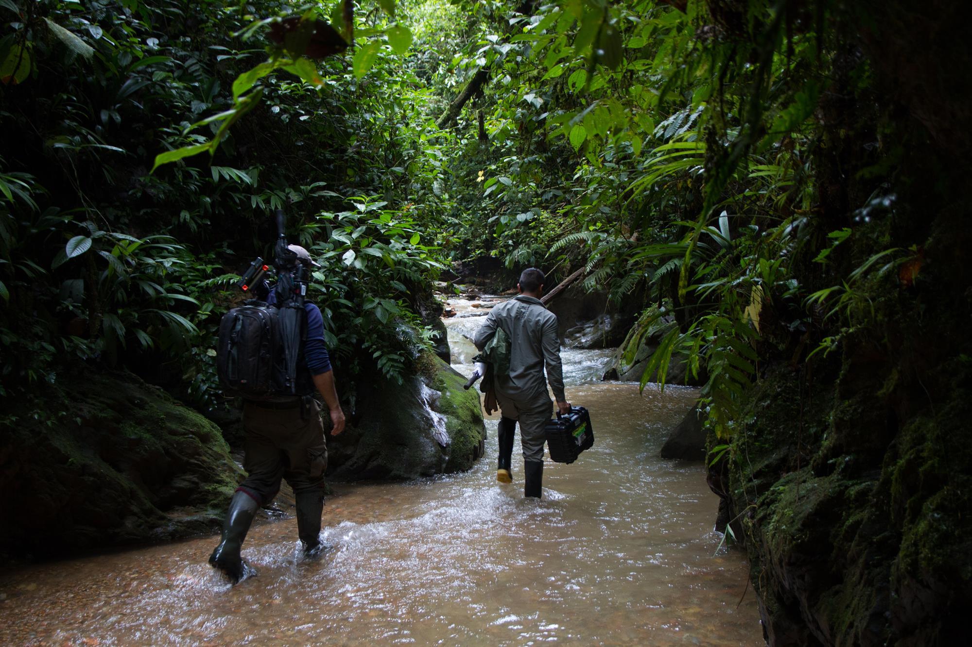 Hostile Planet, National Geographic | Behind The Scenes | Broadcast