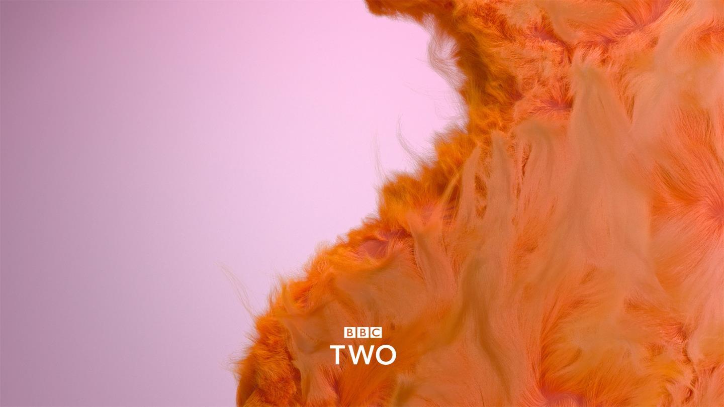 Gallery: New BBC2 idents | Features | Broadcast