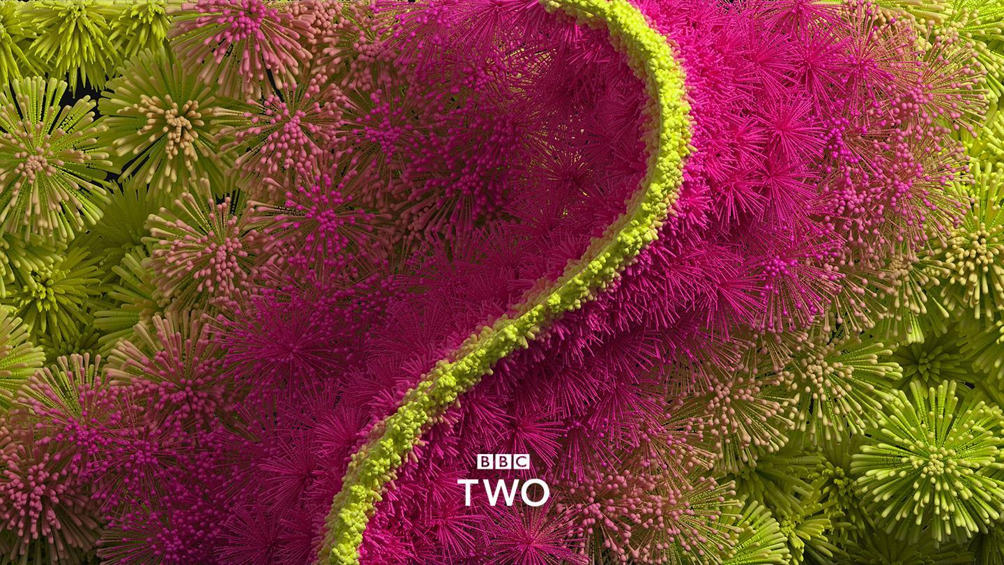 Gallery: New BBC2 idents | Features | Broadcast
