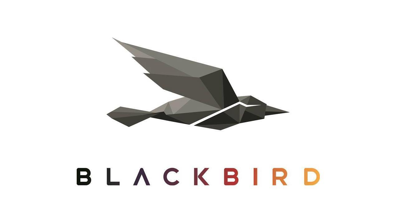 Forbidden Technologies rebrands as Blackbird | News | Broadcast