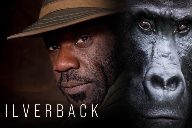 Broadcast: Television and radio news, comment, jobs, data and analysis